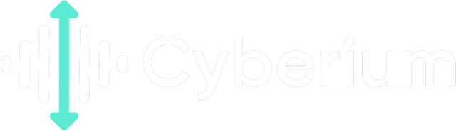 CYSEC OMAN 2025 – Where Vision Meets Vigilance to Secure the Sultanate ...